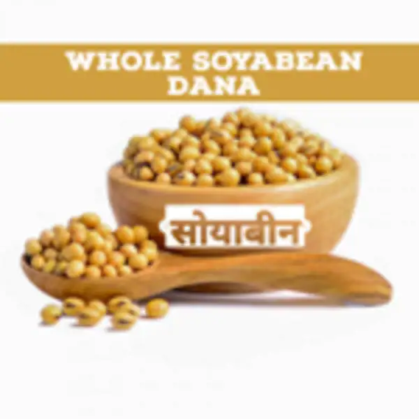 SS520 Row Soyabean Dana 1kg. Whole Soya Seeds Soyabin (High Protein ...
