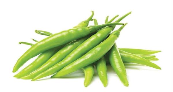 Plantogallery Green Mirch Seed| Outdoor Decor| Lawn and Garden| Garden ...