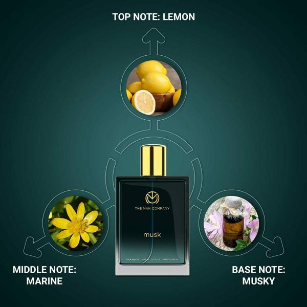 The Man Company Musk Perfume for Men | Premium Long Lasting Fragrance ...