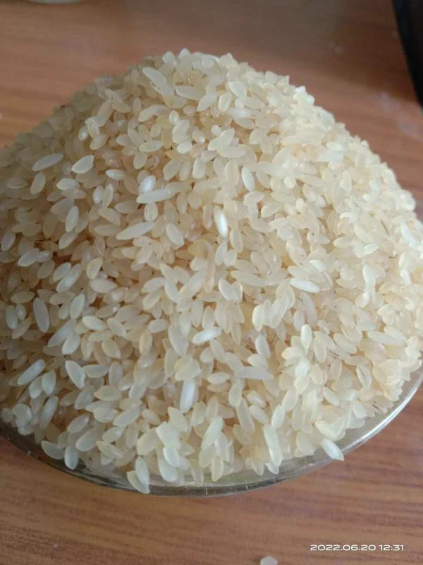 Uzhavan Unavu - Organic Traditional Seeraga Samba Rice (Boiled Rice) 1 ...