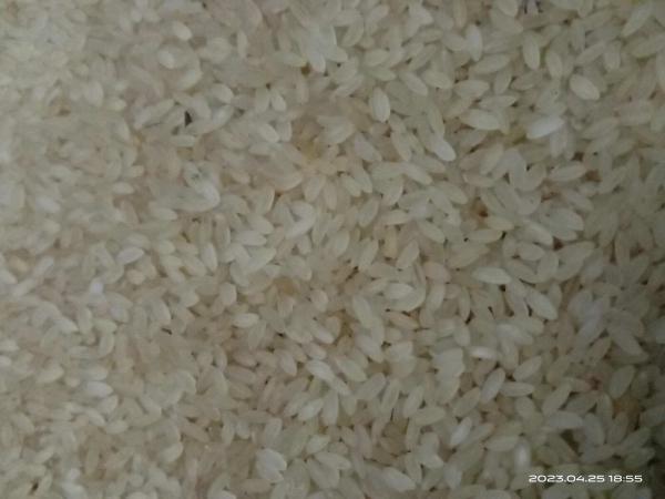 Uzhavan Unavu - Organic Traditional Seeraga Samba Rice (Boiled Rice) 1 ...