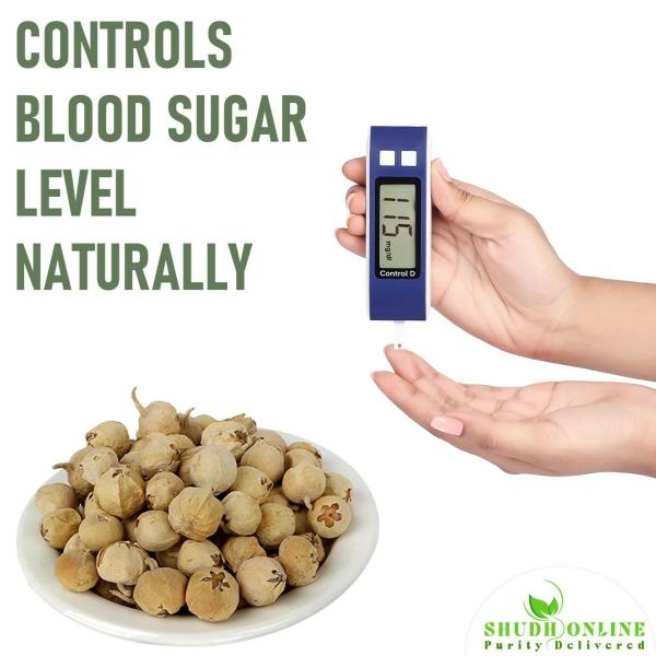 Shudh Online Paneer Ka Phool (200 g), Paneer Doda Phool, Indian Rennet ...