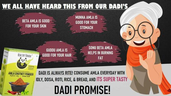 Healthy Panda Amla Chutney Powder - 400 g (Pack of 4) - JioMart