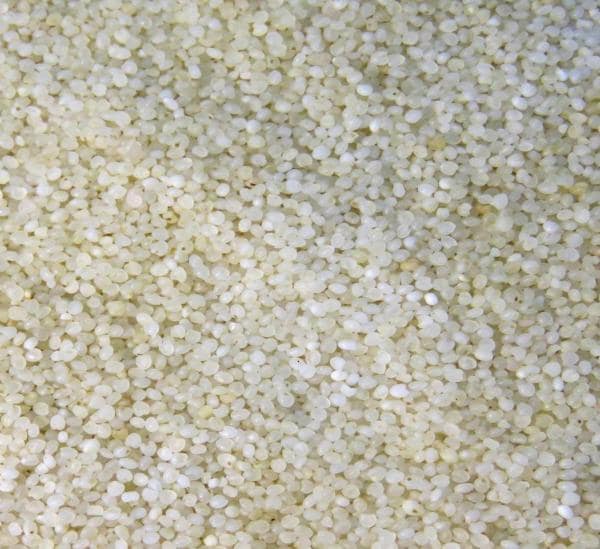 NutriBuck Barnyard Millet | Samak | Samo | Vari | Bhagar | Gluten-Free ...