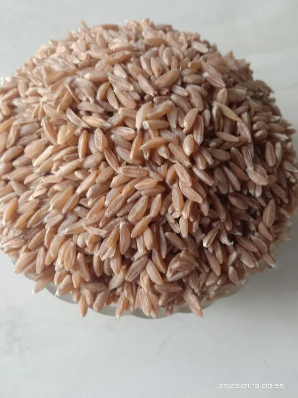 Uzhavan Unavu - Samba Godhumai/Samba Wheat /saamba gehoon - 1Kg. - JioMart