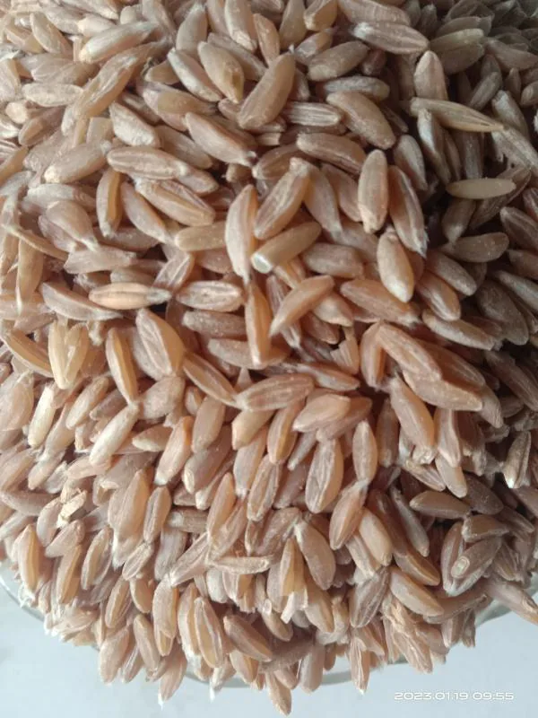 Uzhavan Unavu - Samba Godhumai/Samba Wheat /saamba gehoon - 1Kg. - JioMart
