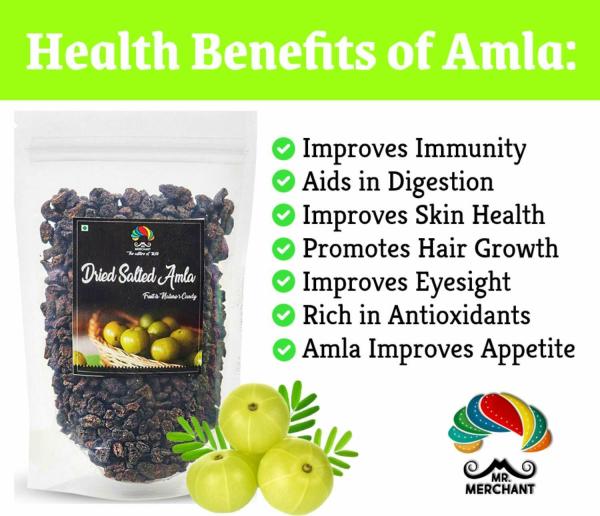 Mr. Merchant Dried Salted Amla, 400 g (Salted Indian Gooseberry ...