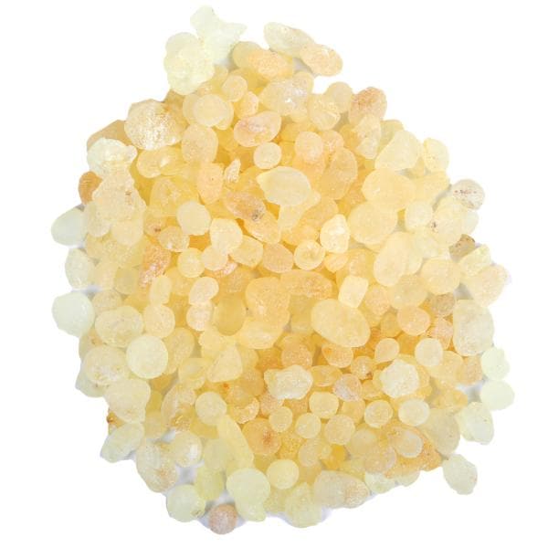 YUVIKA Rumi Mastagi - Mastangi - Pistacia Lenticus - Mastic Gum (10 ...