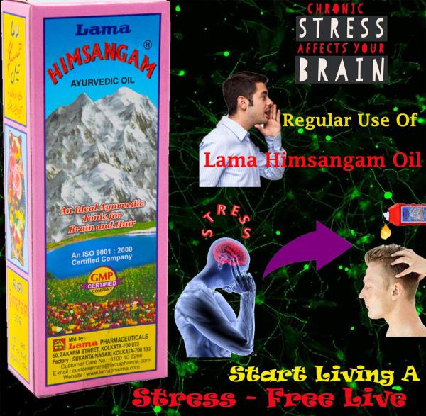 Lama Himsangam Oil 400 ml (Pack of 2) - JioMart