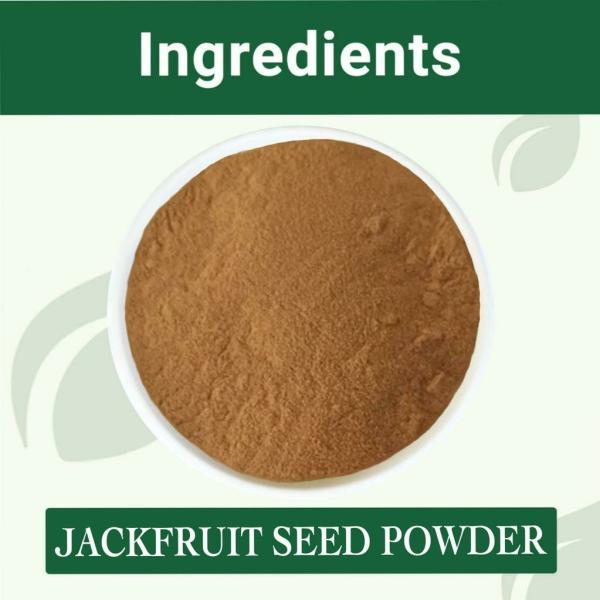 B&B Organics Panruti Jackfruit Seeds Powder / Jackbulb Powder (250 g ...