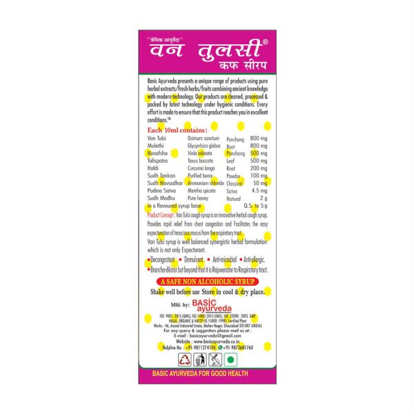 Basic Ayurveda Van Tulsi Syrup 450 ml Pack of 2 - JioMart