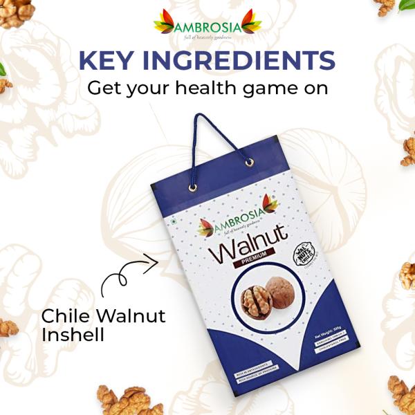Ambrosia Premium Walnuts with Shell 500g | Chile - JioMart
