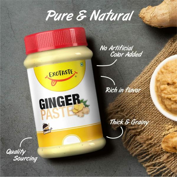 EXOTASTE Ginger Paste for Cooking/Naturally Processed Fresh Ginger ...