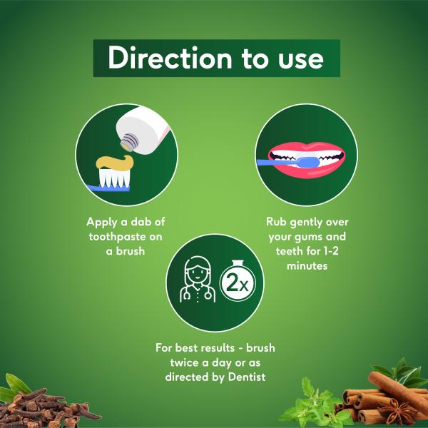 Sri Sri Tattva Sudanta Toothpaste - Non - Fluoride - 100% Vegetarian ...