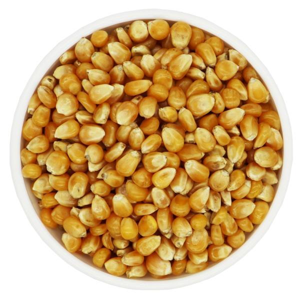 Popfusion Corn Kernels & Cheese Seasoning || 100% Popping Kernels 1kg ...