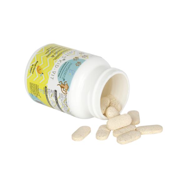 Physiovits KID-VIT Multivitamin Chewable Tablets for Kids - 30 Mango ...