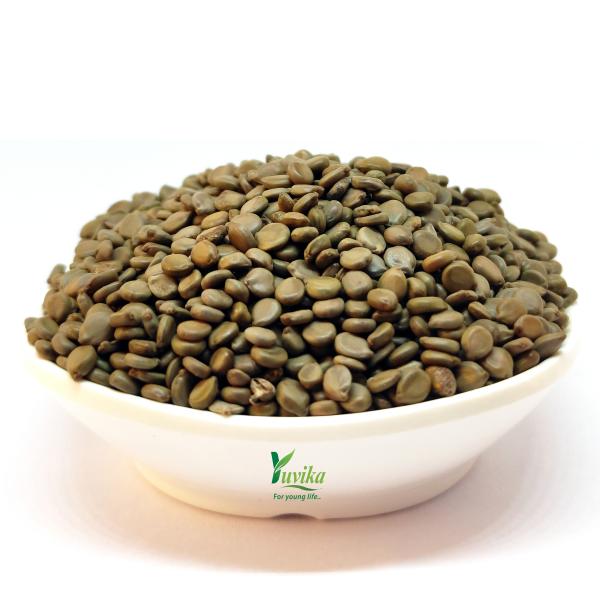 YUVIKA Beej Kasondi - Kasundi - Kasamarda Cassia Occidentalis (800 ...