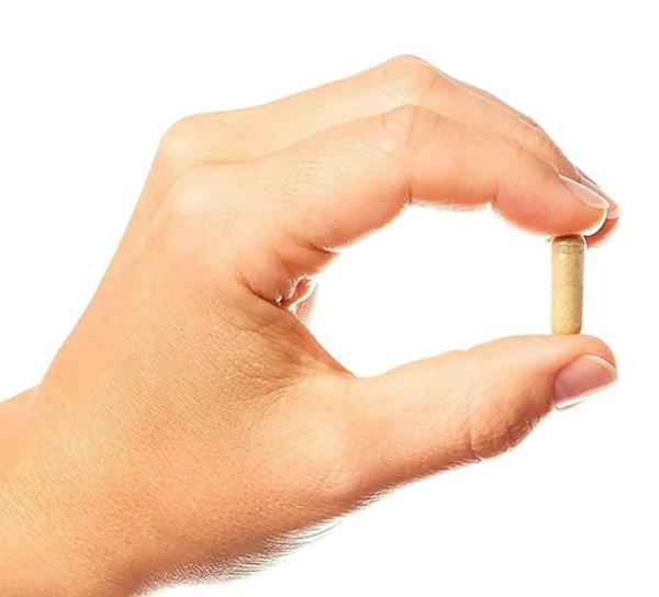 Neotea Aloe Vera Katralai Gheekumari Kathalai Capsules 500 mg - 100 Pcs ...