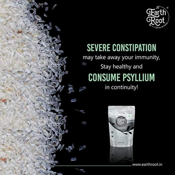 EarthRoot Psyllium Husk (Isabgol) 400g Standee Pack - JioMart