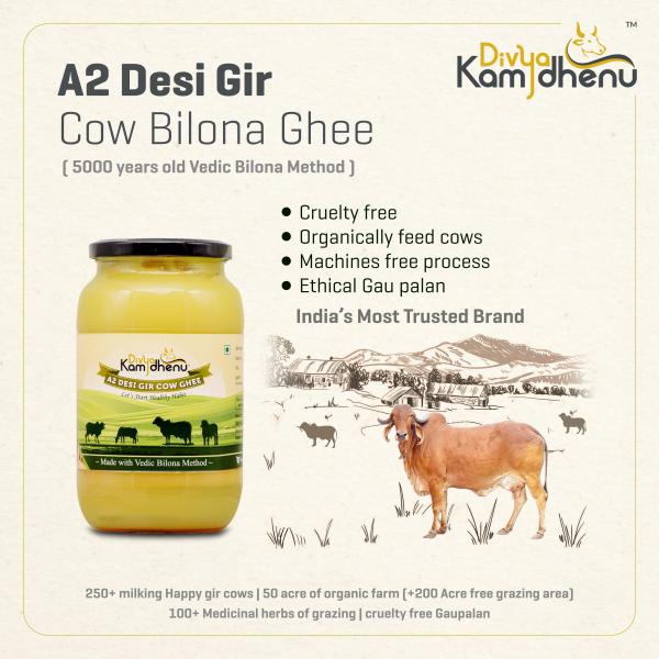 Divya Kamdhenu Bilona A2 Gir Cow Ghee 500 ML Glass Jar Packing Organic 100% Pure - JioMart