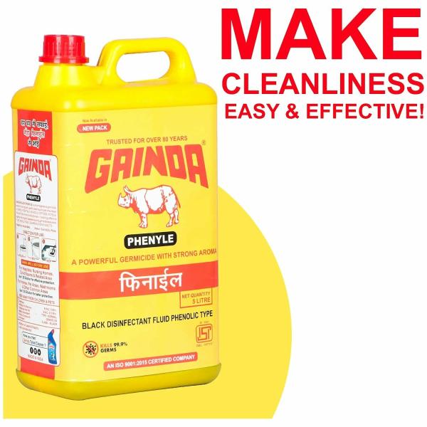Gainda Black Phenyle Surface Disinfectant, Floor Cleaner Liquid for ...