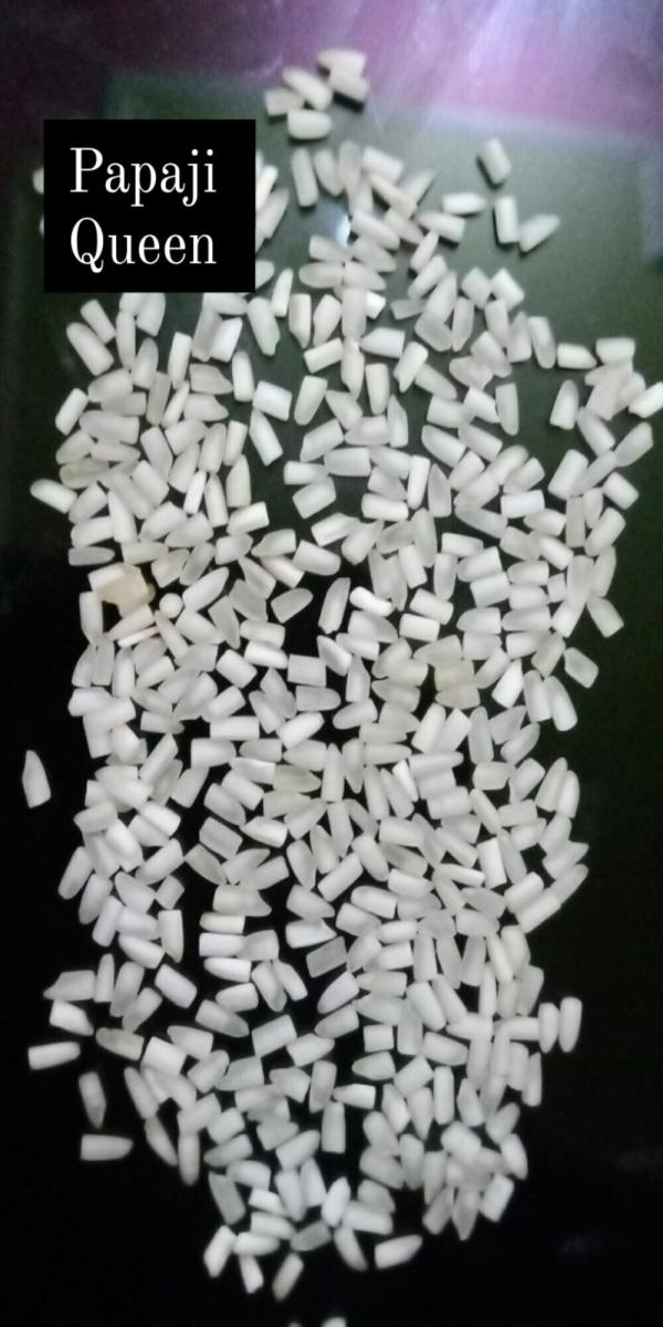 G - 31 PAPA JI Queen Rice | Dubar | 30 KG - JioMart