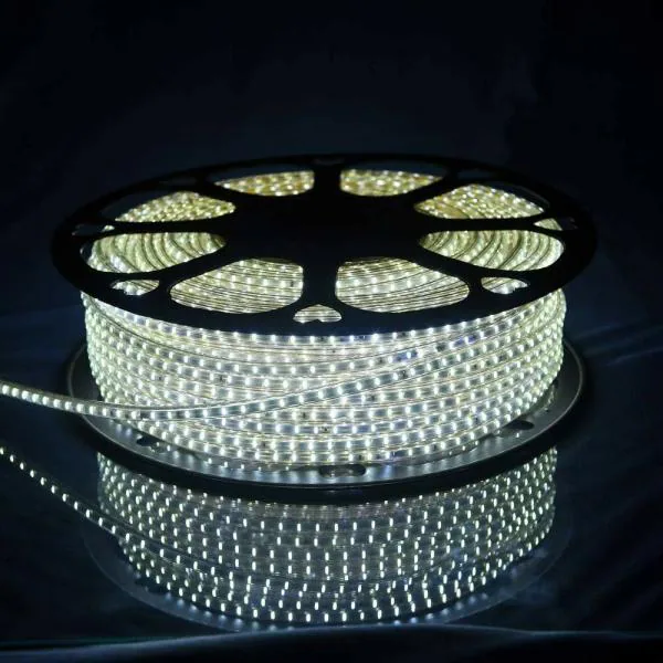 Astern White Rice Lights 600 LED/5inch - JioMart
