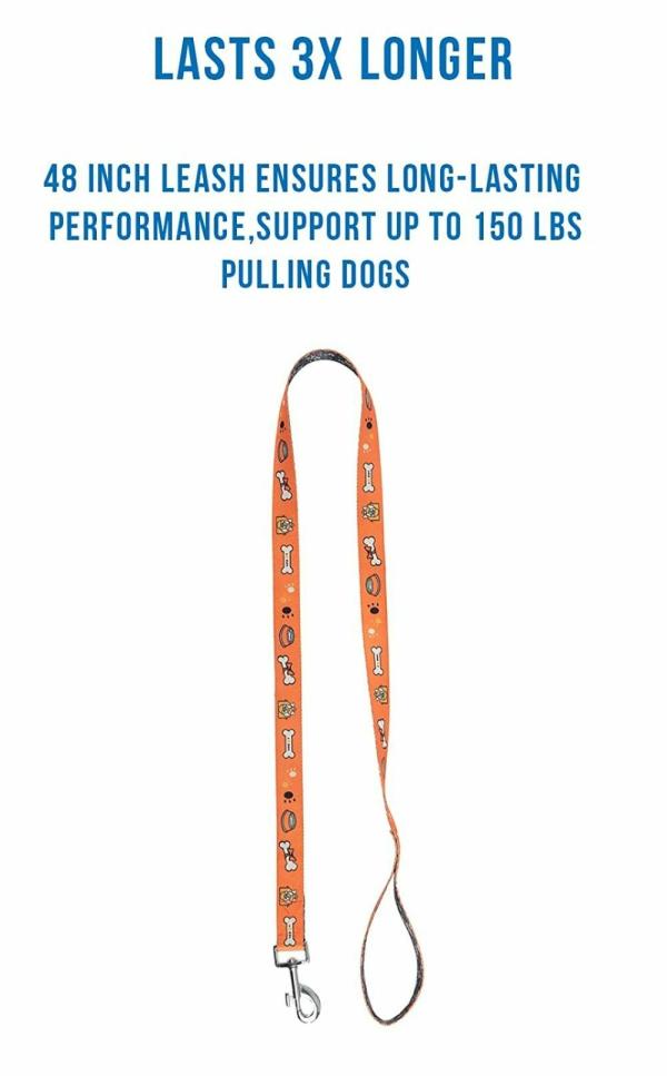 FURRY TAILS Dog Neck Collar Belts and Leash Set, Adjustable Free Neck ...