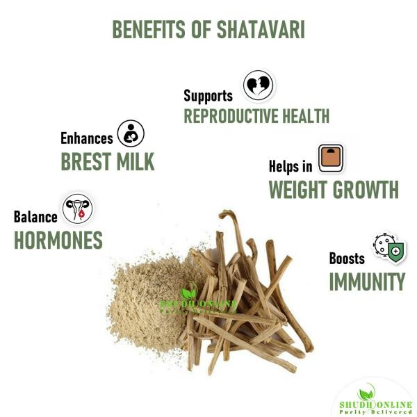 Shudh Online Pure Shatavari Powder (50g), Satavari churna, Asparagus ...