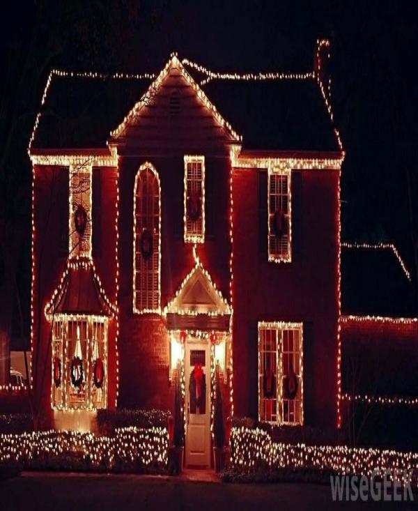 Astern Red Rice Lights 1200 LED/10.16inch - JioMart