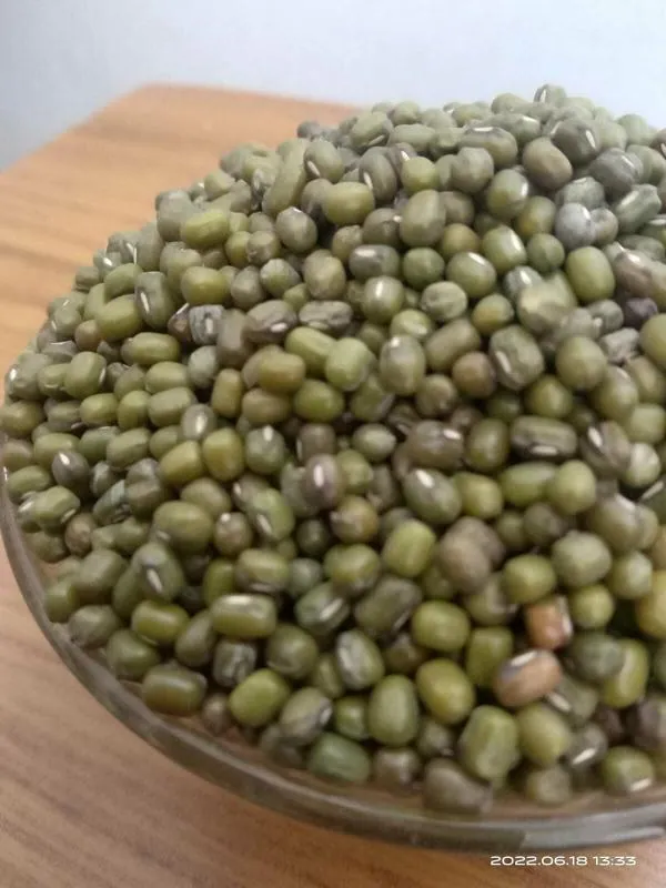 Uzhavan Unavu - Organic - Green Gram / Moong Dhall / Pachaiparupu ...