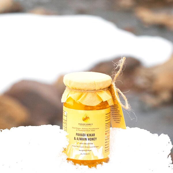 Pahadi Amrut Kikar and Ajwain Honey with Wooden Honey Dipper | 100% Raw and Unprocessed, 500g ...