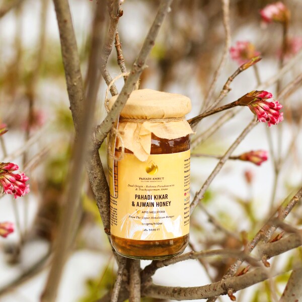 Pahadi Amrut Kikar and Ajwain Honey with Wooden Honey Dipper | 100% Raw and Unprocessed, 500g ...