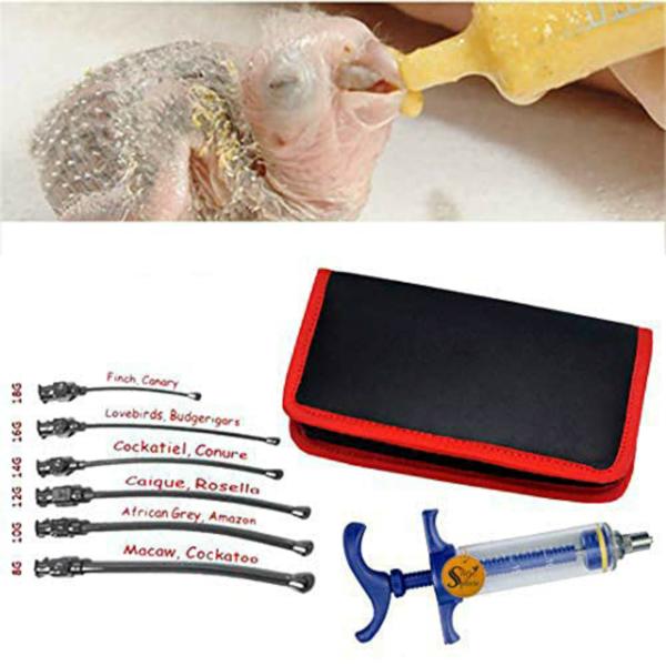 Sage Square Steel Adjustable Hand Crop Feeding Syringe And Ball Curve ...