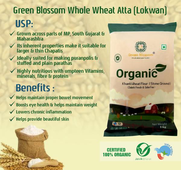 Green Blossom Organic Wheat Flour (Lokwan Atta) - Pack of 3 - JioMart
