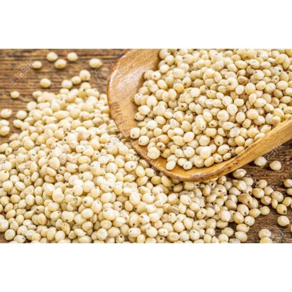 Farmbean Whole White Jowar Grains 1 KG / Sorghum / Jonna Native Low GI ...