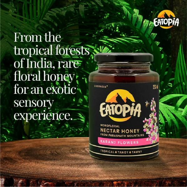 Eatopia Flower Wild Honey From From Parasnath Mountains - 500 Gm - JioMart