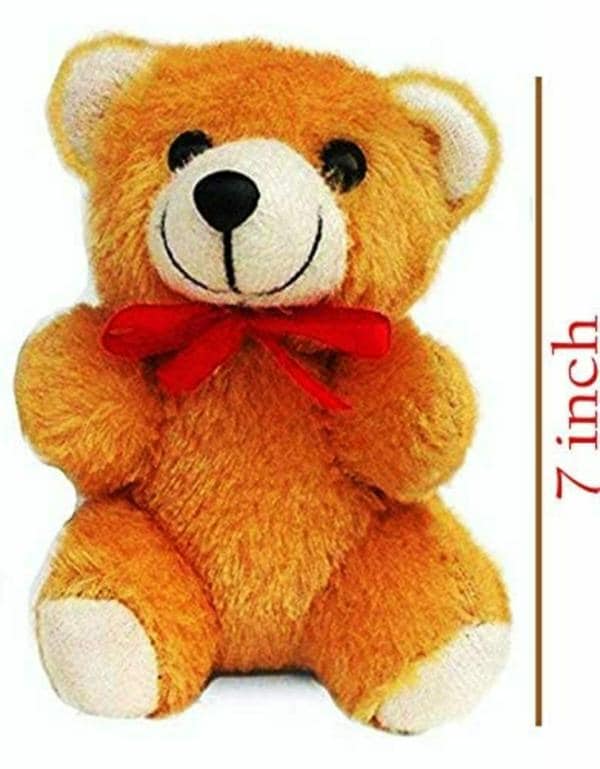 Teddy Bear and Chocolate Combo- Teddy with Cadbury Celebration Box ...