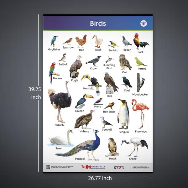 Target Publications Jumbo Domestic and Wild Animals & Birds Charts for ...