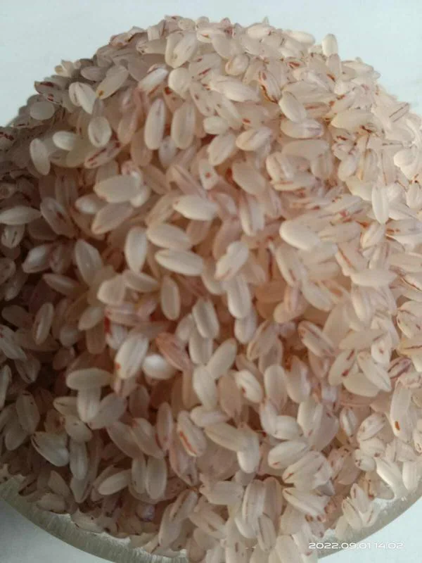 Uzhavan Unavu - Organic Traditional Kerala Mattai rice / Kerala rice ...