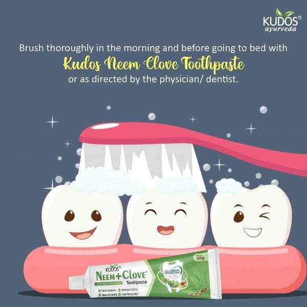 Kudos Ayurveda Neem And Clove Toothpaste - 100g (Pack of 3) - JioMart