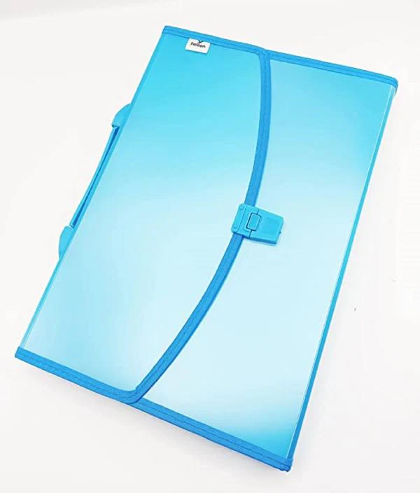 GOLD LEAF Sky Blue Color Plastic Expanding File Folder with 12 Pockets ...