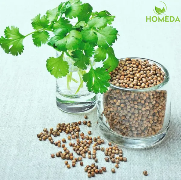 Homeda Coriander Seeds Whole (2 Kg) , Sabut Dhaniya Seeds, Daniyalu ...