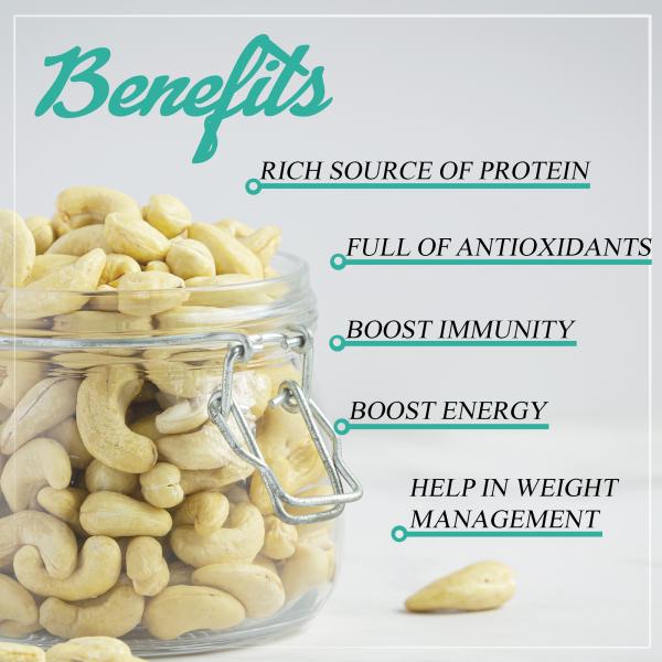 Paleo India Whole Premium W240 Cashew 200gm Cruncy Dry Fruits - JioMart