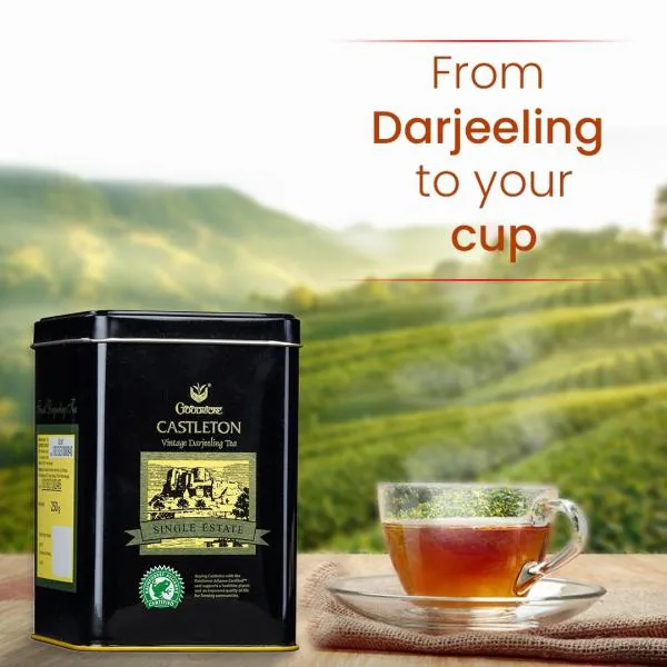 Goodricke Castleton Vintage Darjeeling Tea - 250gm | Single Estate ...