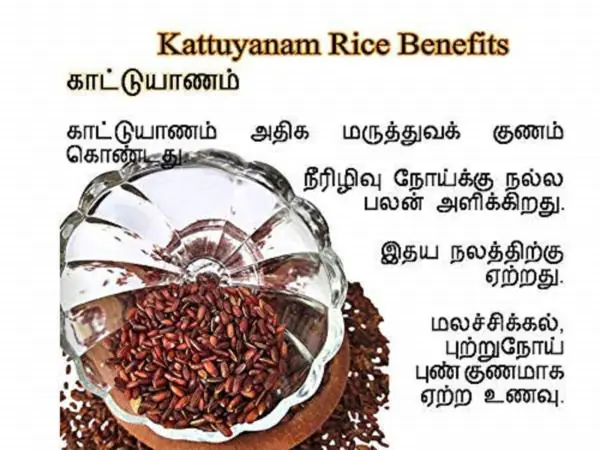 Thanjai Organics Hand Pounded Kattuyanam Rice 1 KG | Traditional Red ...