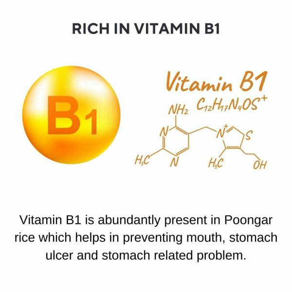 HayyFoods Poongar Red Rice (Diabetic Friendly) (Woman Wellness) Red Raw ...