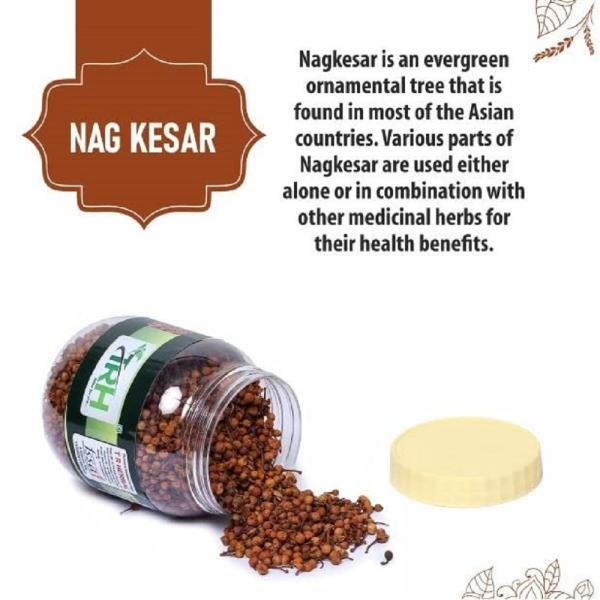 TRH Nagkesar-Ochrocarpus Longifolius-Saffron -Nagakesara-Mesua Ferrea ...