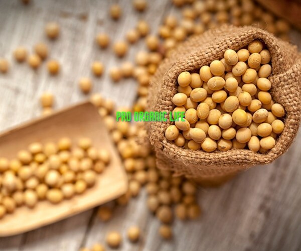 Pro Organic Life soya bean seeds, soyabean dana -2700GM - JioMart