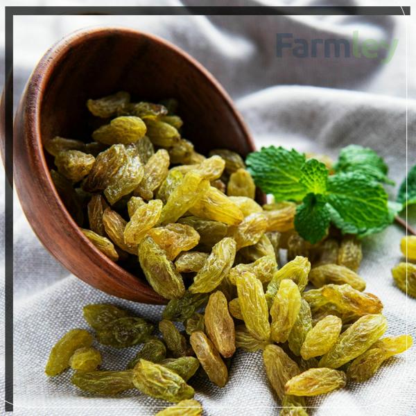 Farmley Selecta Green Raisin Long 500 g - JioMart